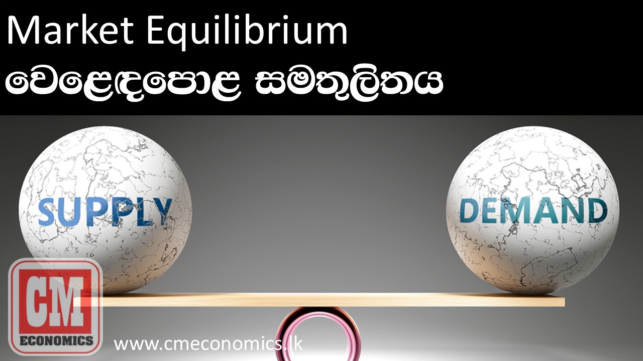Microeconomics - CM Economics