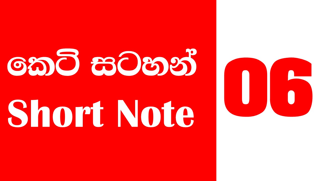 12 Short Notes - CM Economics